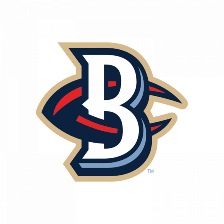 Atlantic League Pro Baseball